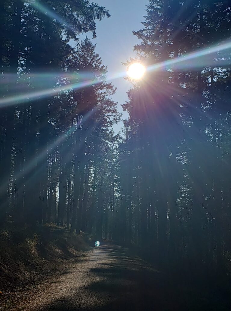 Der ganz spezielle Pfad eines jeden ~ Eric Raines | Transinformation